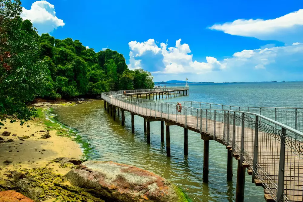 Pulau Ubin (بولاو بين) — جزيرة ريفية بالدراجات | الوصول، Chek Jawa ...